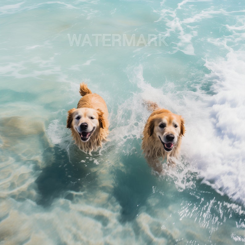 Dogs in Ocean, Golden Retrievers, Golden Retriever Art, Dog Art Prints ...