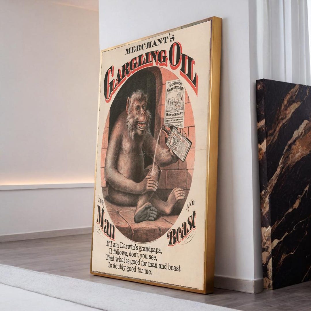 Darwin's Grandpapa Monkey Art | Victorian Apothecary Wall Decor ...