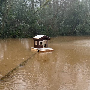 Bespoke Floating Duck House - Etsy UK
