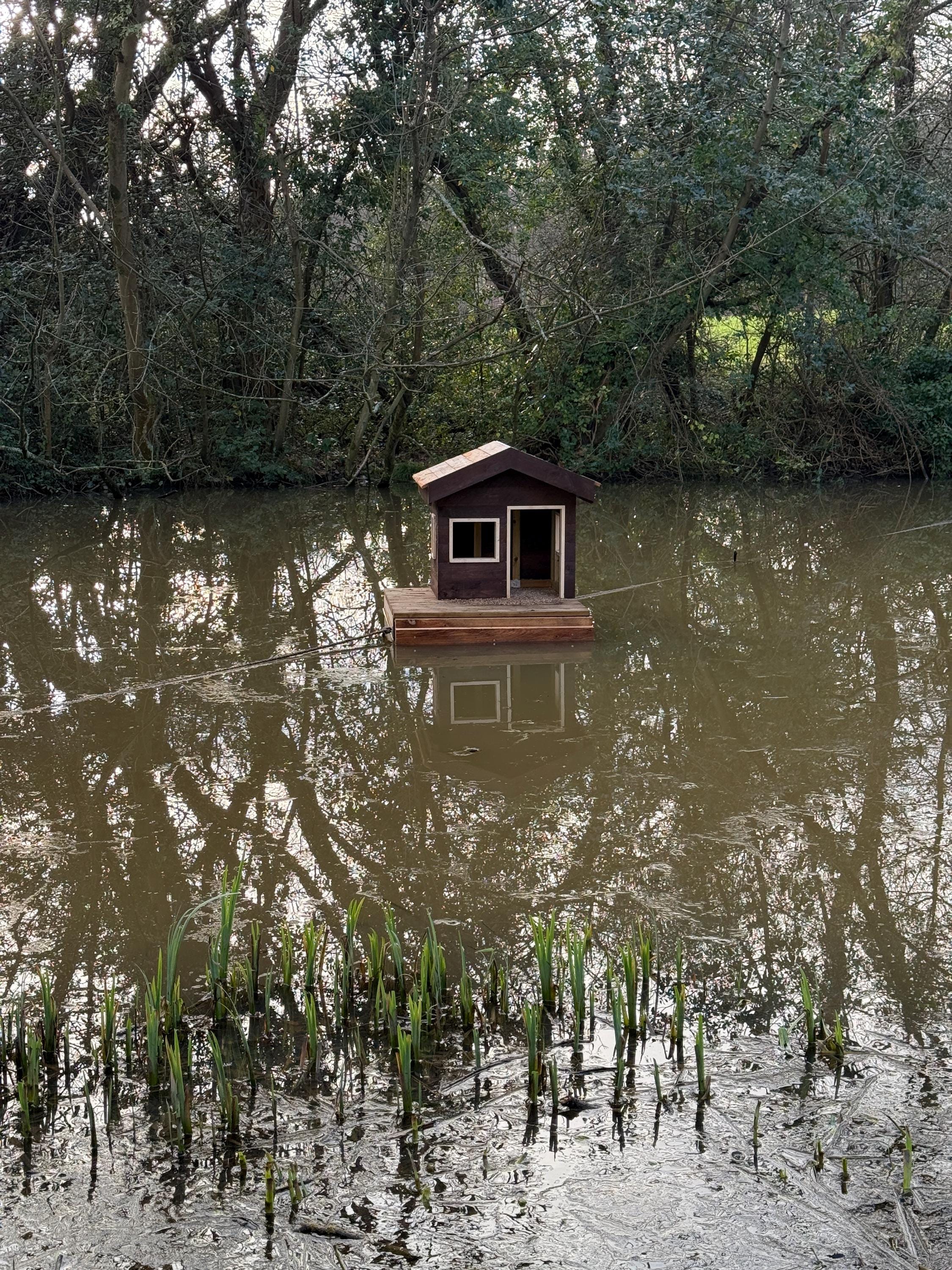 Bespoke Floating Duck House - Etsy UK