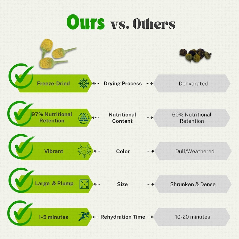 Buzz Buttons Edible Flowers | Freeze Dried | Grown in USA | Buzz Button ...