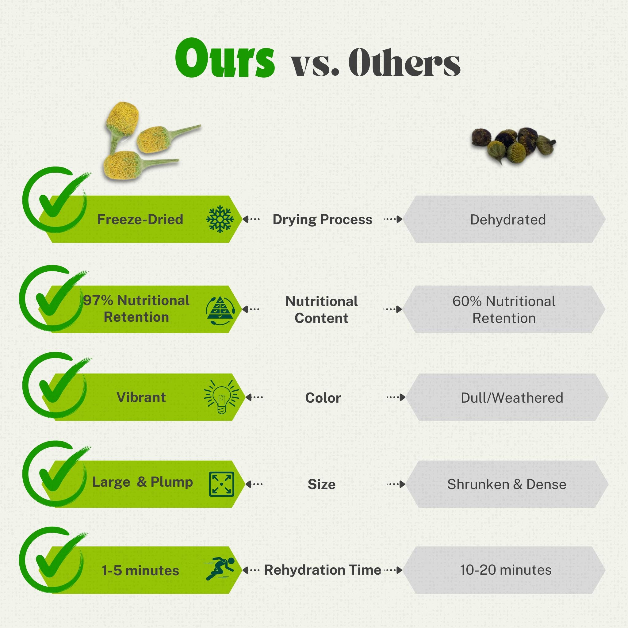 Buzz Buttons Edible Flowers | Freeze Dried | Grown in USA | Buzz Button ...