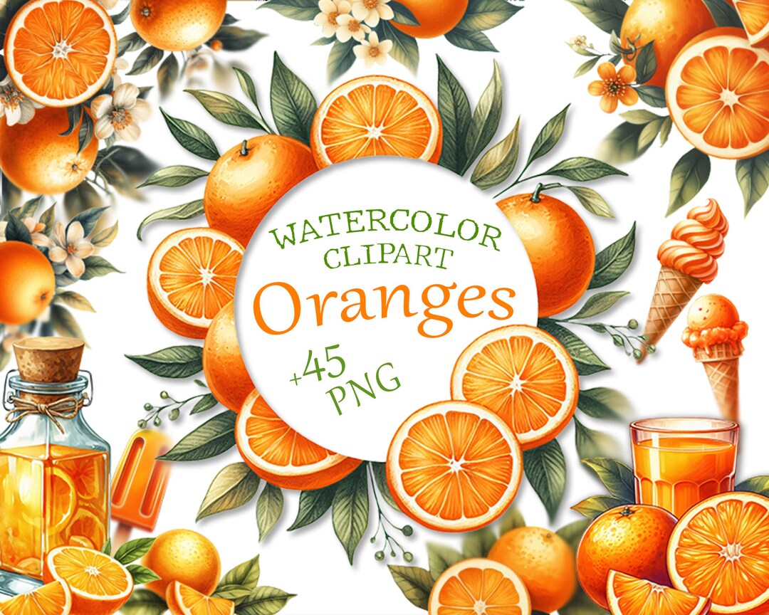 Watercolor Oranges Clipart, Orange Graphics PNG, PNG Clipart, Citrus ...
