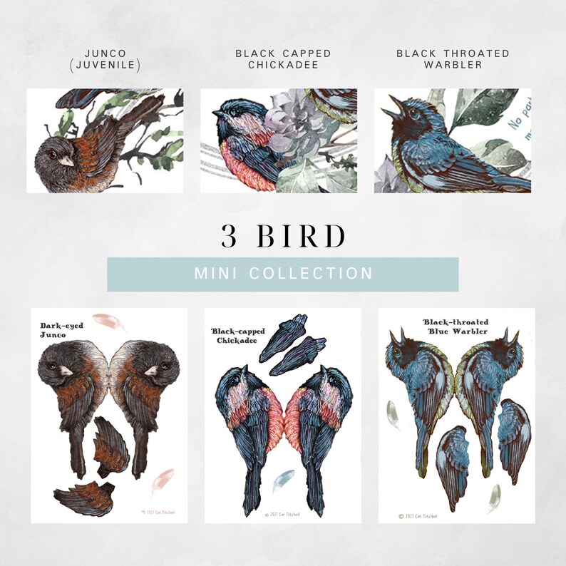 Vintage Songbird 3D Paper Craft Activity Kit (digital Download) - Etsy