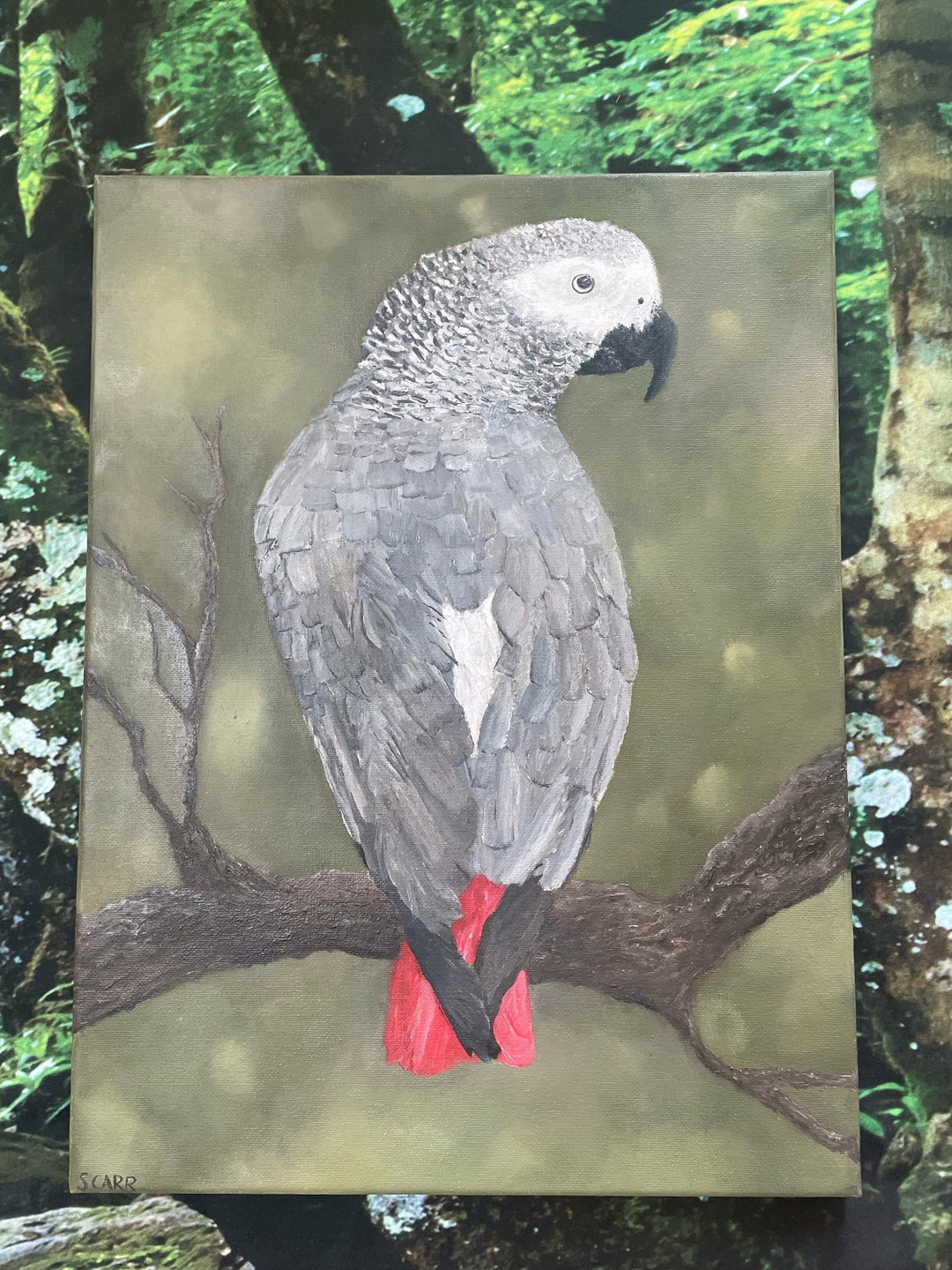 The Gray Parrot (12x16 Original Oil Painting) - Etsy