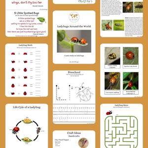 Ladybugs Around the World: A Unit Study on Ladybugs - Etsy