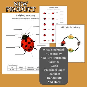 Ladybugs Around the World: A Unit Study on Ladybugs - Etsy