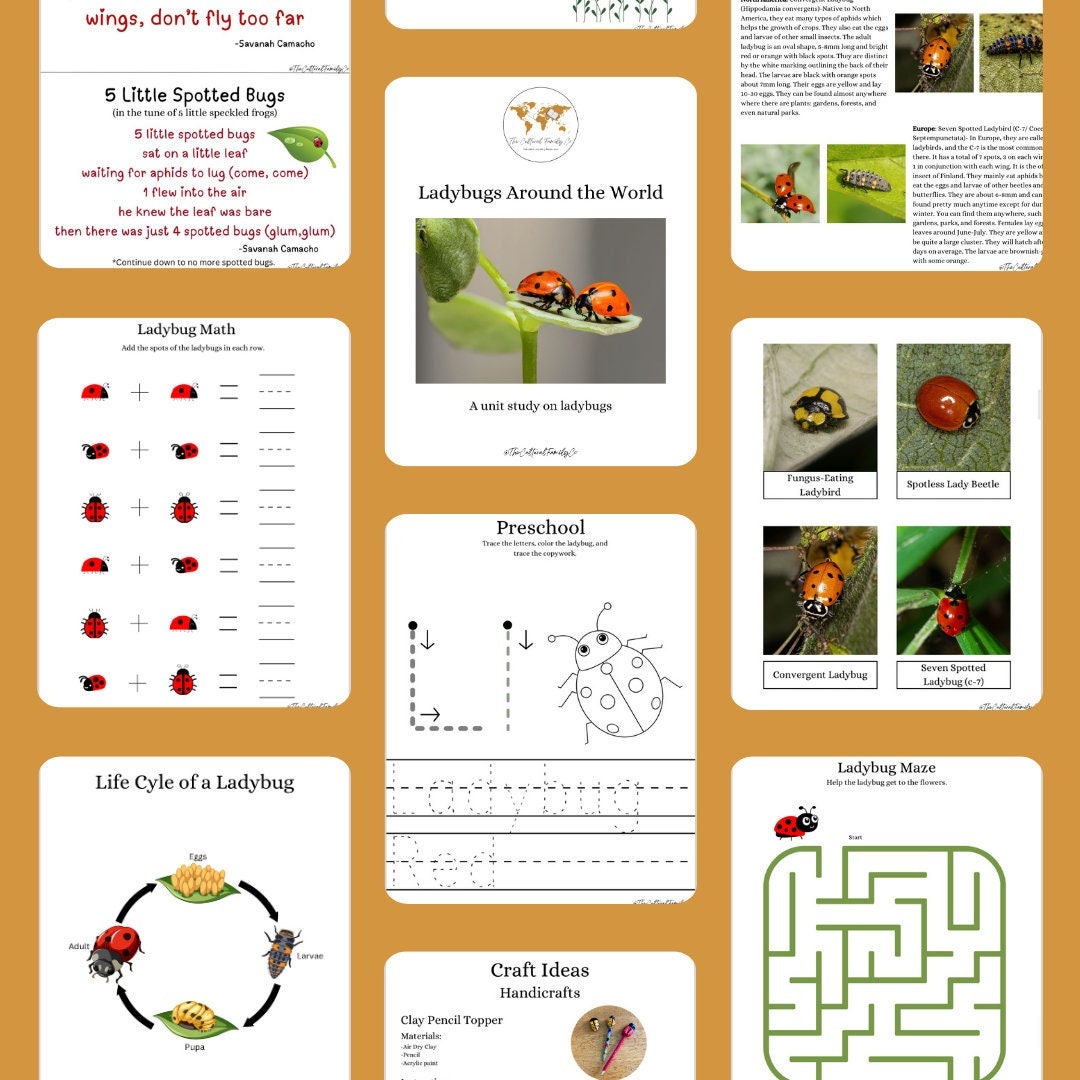 Ladybugs Around the World: A Unit Study on Ladybugs - Etsy
