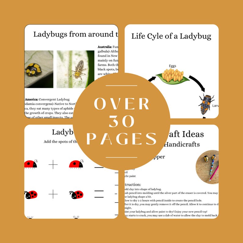 Ladybugs Around the World: A Unit Study on Ladybugs - Etsy