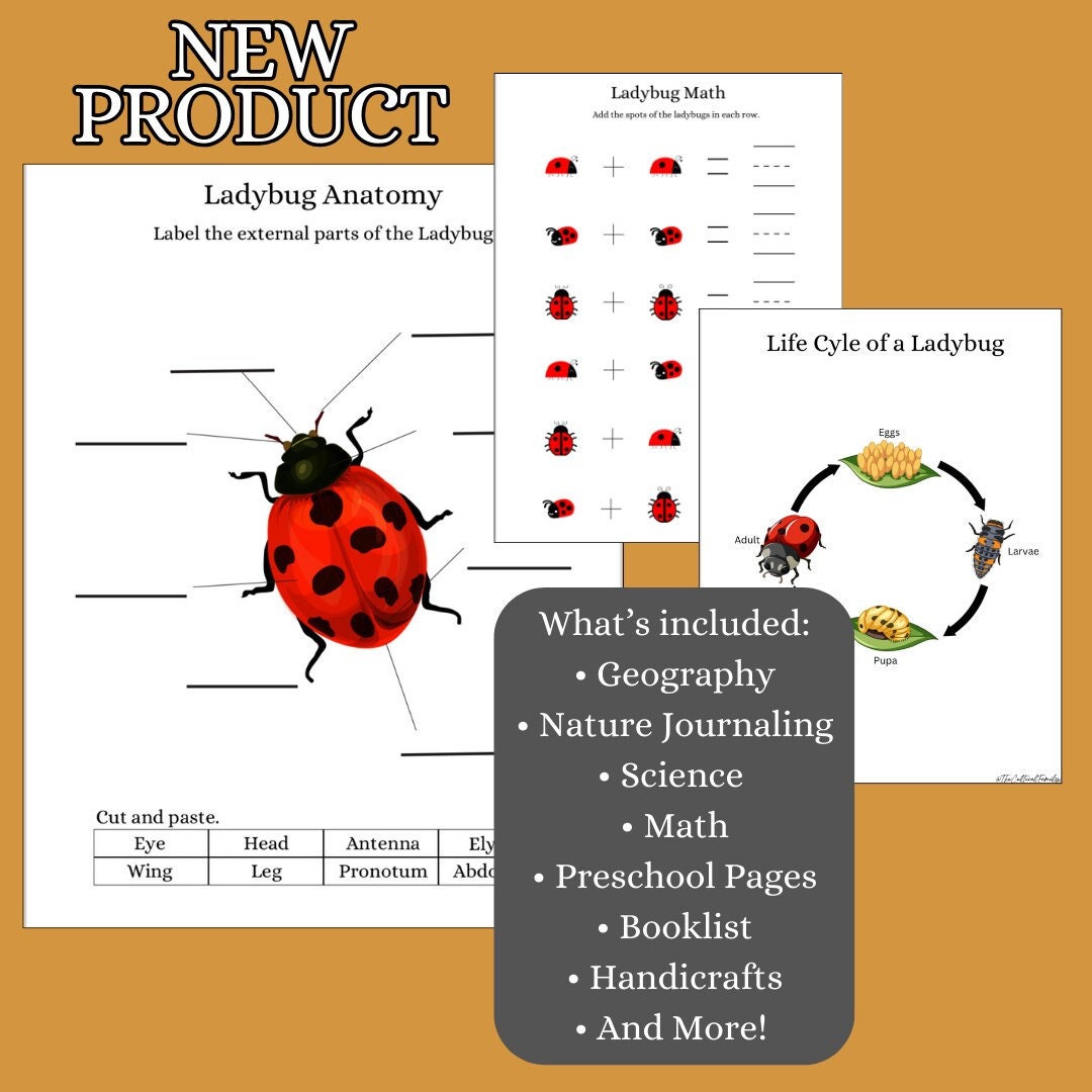 Ladybugs Around the World: A Unit Study on Ladybugs - Etsy