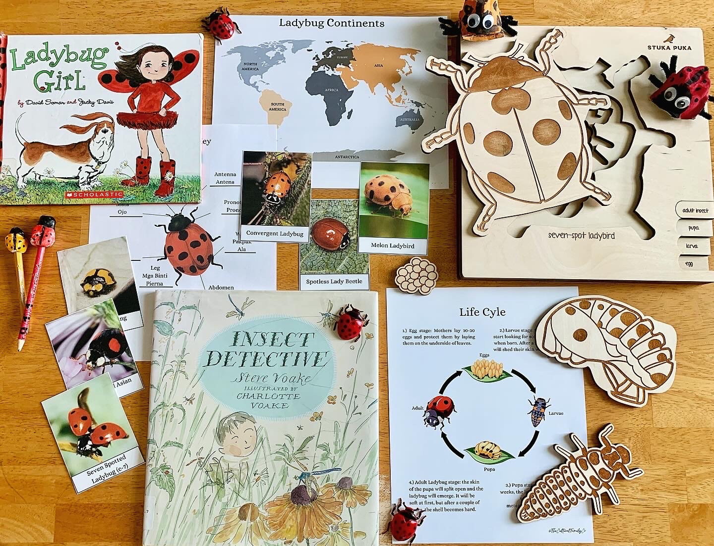 Ladybugs Around the World: A Unit Study on Ladybugs - Etsy
