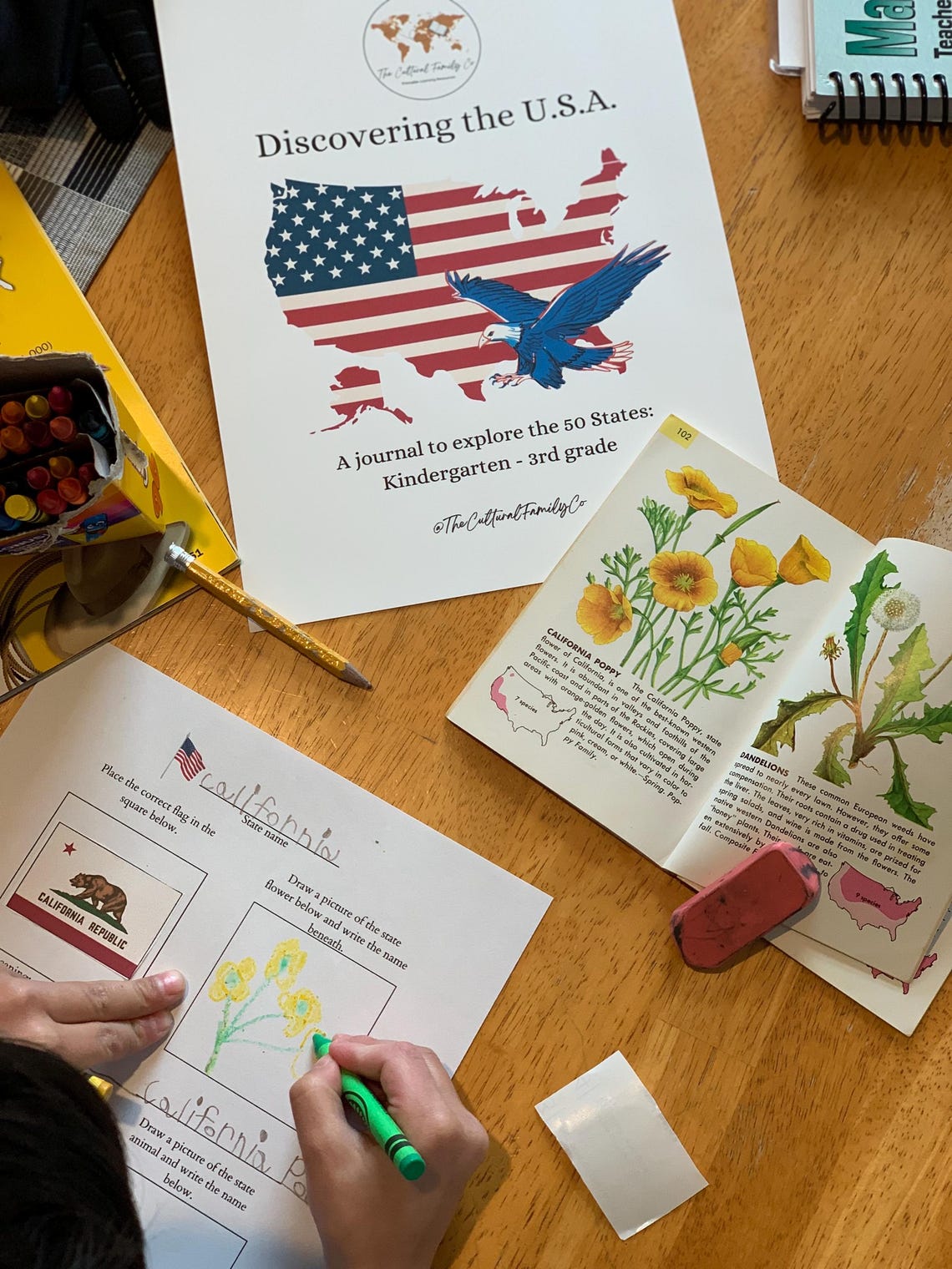 50 States Journal for Kids, Homeschool Kindergarten-3rd Grade, Discover ...