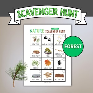 Nature Scavenger Hunt Forest Theme | Printable | Outdoor Activity for ...