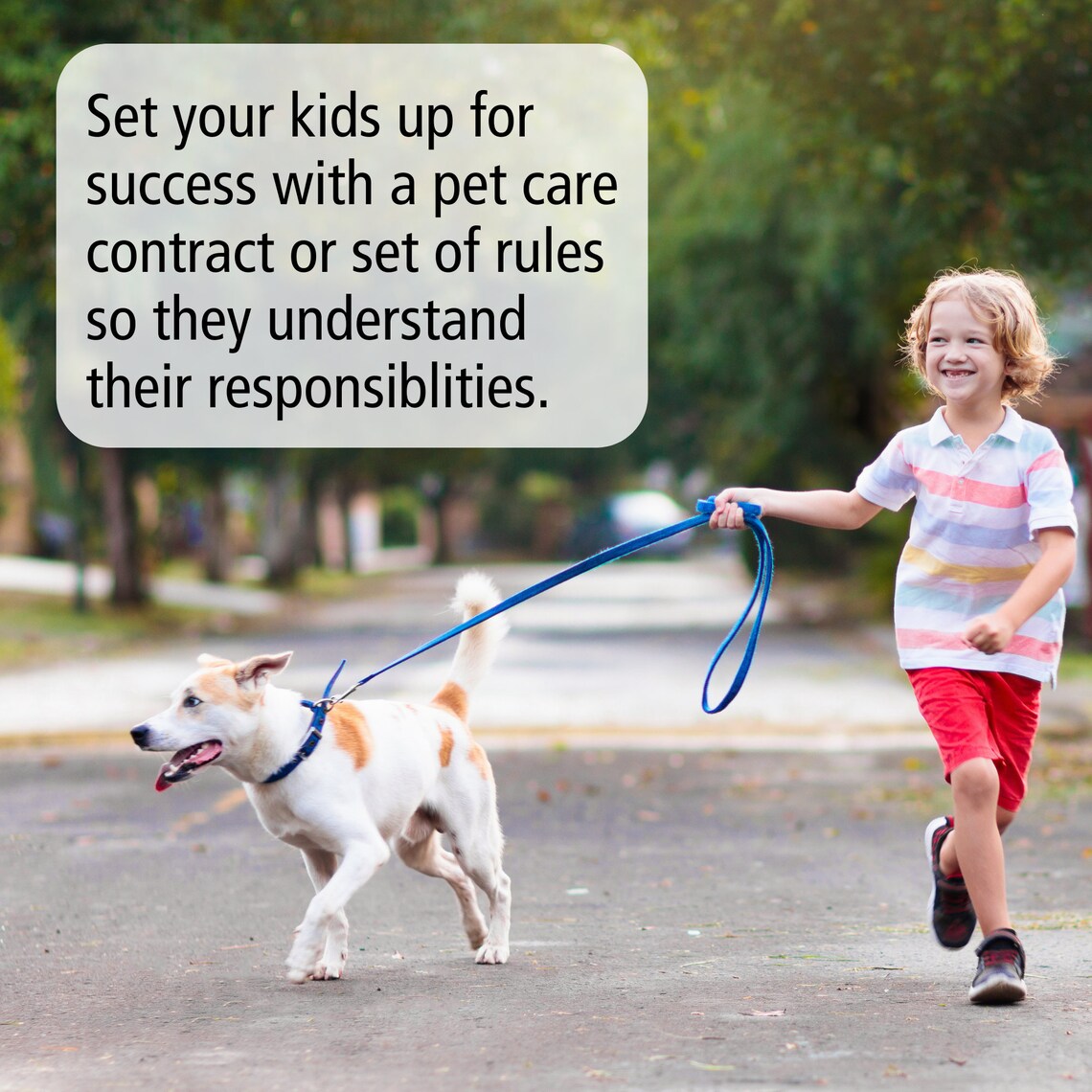 Pet Chores Printable Template for Kids Pet Agreement Pet Care House ...