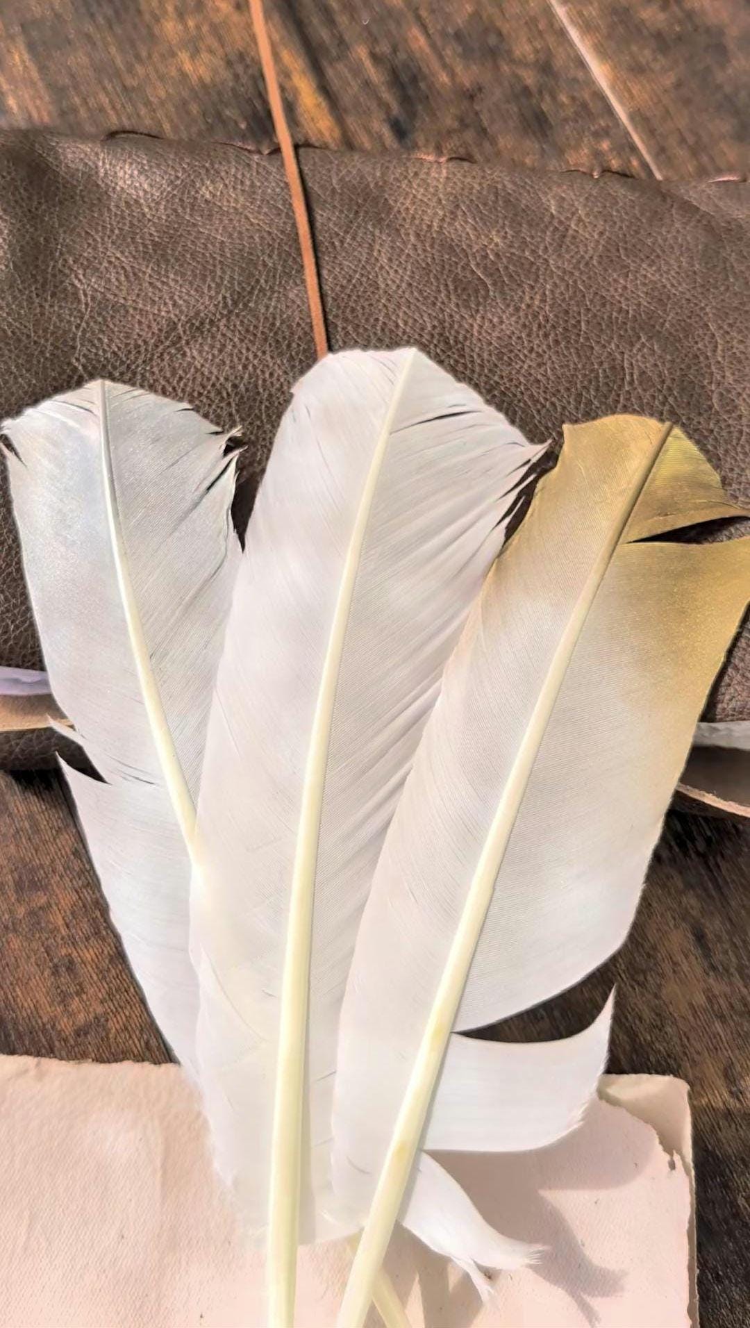 Hand-carved Turkey Quill Pen With Inkwell - Etsy