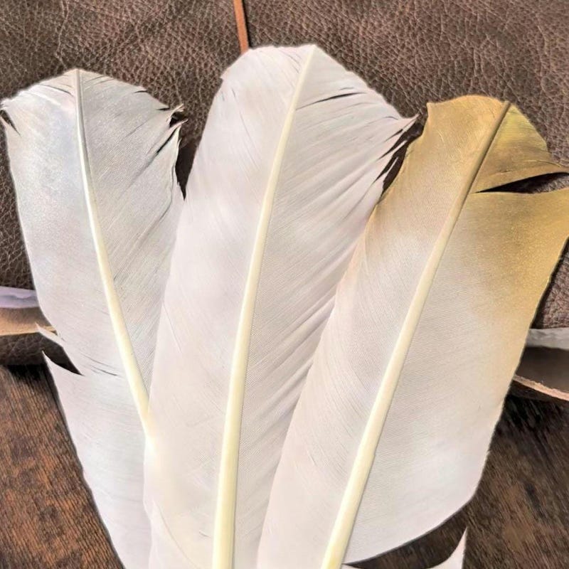 Right Hand Quill - Etsy