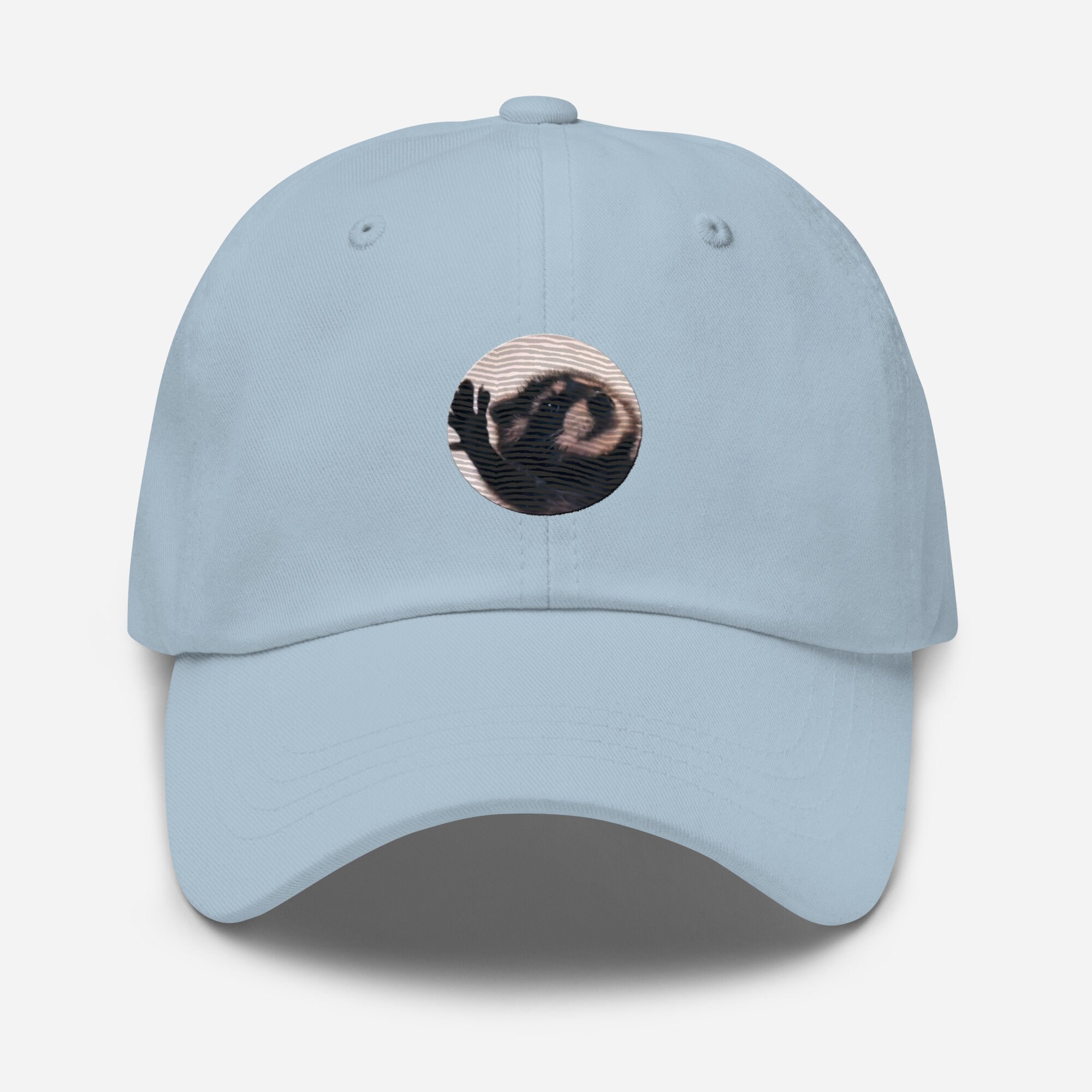 Pedro Racoon Dance Popular Internet Meme Mapache Dance Dad Hat - Etsy