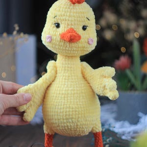 Chicken Crochet Pattern Plush Chicken Amigurumi and a Worm PDF in Eng ...