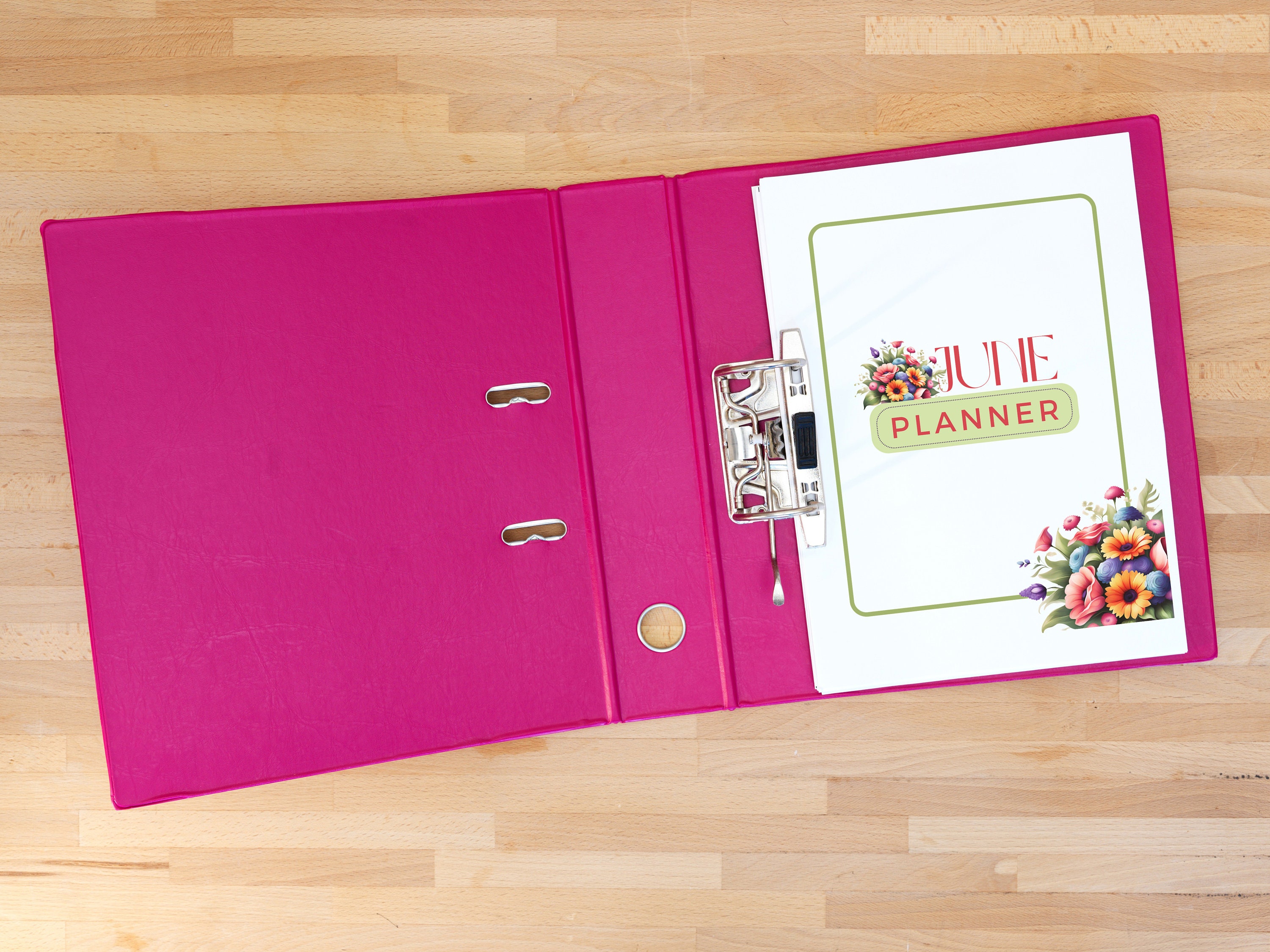 Printable June Planner, Monthly Planner, June Organizer, Daily Planner ...