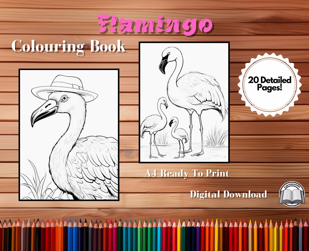 Flamingo Colouring Book, Birds, Flamingo Gift, Digital Download ...