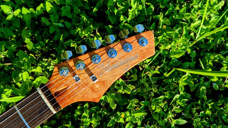 Modugno X2-S Pro: Earth | LED Guitar | Made in Texas, USA - Etsy