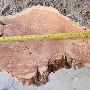 Extra Large Cedar Log Cookies Cut to Order - Etsy