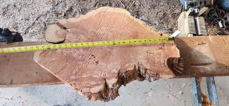 Extra Large Cedar Log Cookies Cut to Order - Etsy