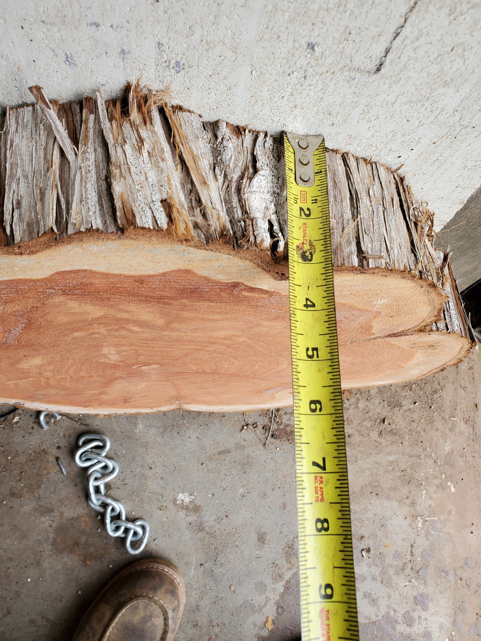 Extra Large Cedar Log Cookies Cut to Order - Etsy