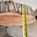 Extra Large Cedar Log Cookies Cut to Order - Etsy