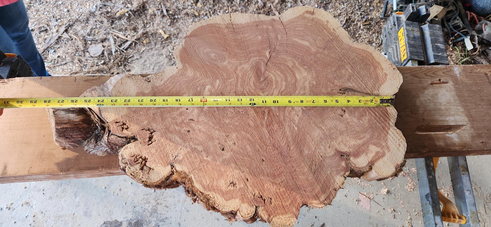 Extra Large Cedar Log Cookies Cut to Order - Etsy