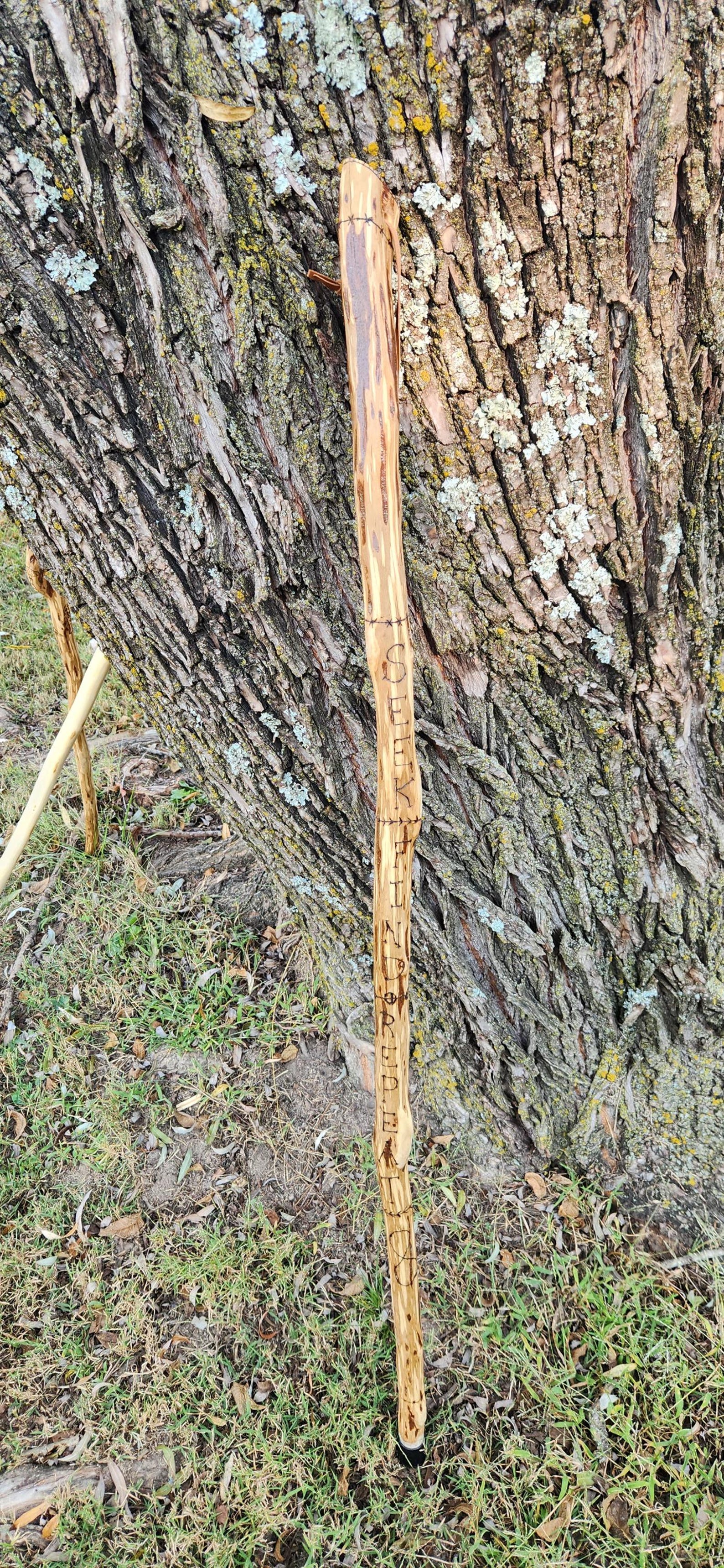 Walking Stick Hiking Staff Ironwood Explorer Themed Seek, Find, Repeat ...