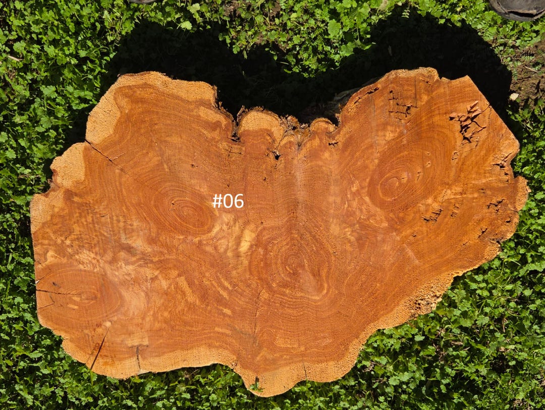 Huge XXL Large Cedar Log Cookies in Stock - Etsy