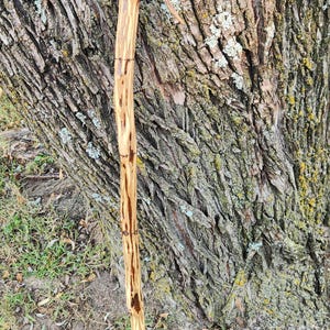 Walking Stick Hiking Staff Ironwood Explorer Themed Seek, Find, Repeat ...