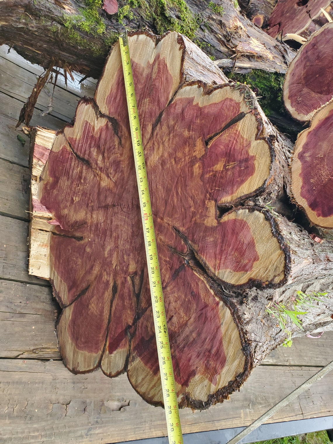 Extra Large Cedar Log Cookies Cut to Order - Etsy
