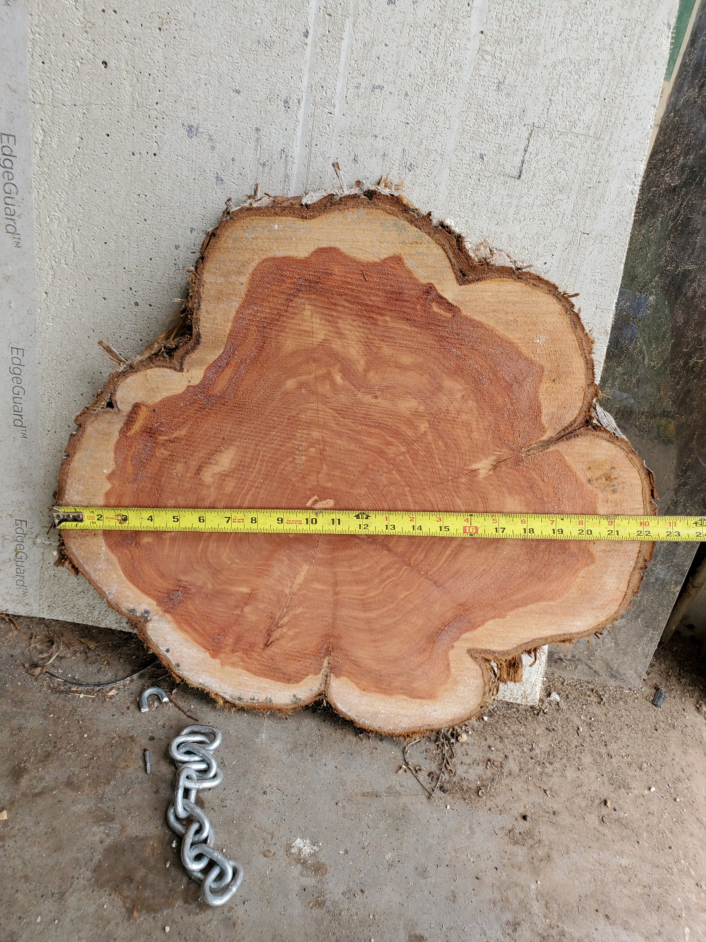 Extra Large Cedar Log Cookies Cut to Order - Etsy