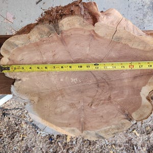 XL Eastern Red Cedar Wood Cookies – Aromatic Rustic Log Slices 2" Thick ...