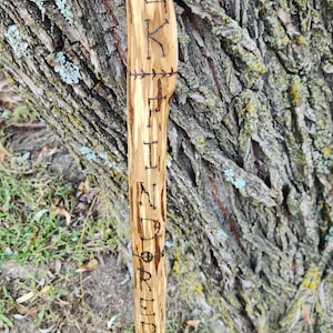 Walking Stick Hiking Staff Ironwood Explorer Themed Seek, Find, Repeat ...