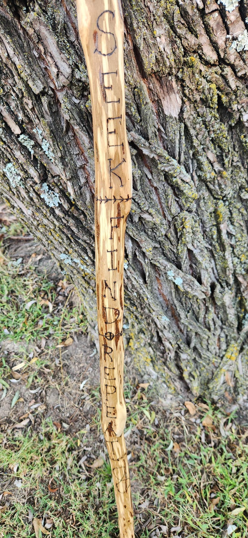 Walking Stick Hiking Staff Ironwood Explorer Themed Seek, Find, Repeat ...