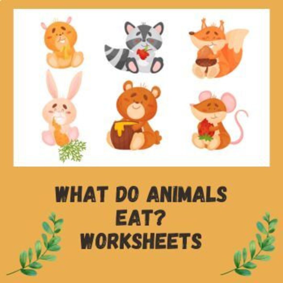 What Do Animals Eat Printable Worksheets for Class 1 Animal Matching ...