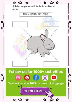 Basic Needs of Animals Printable Worksheets Match the Correct Items ...