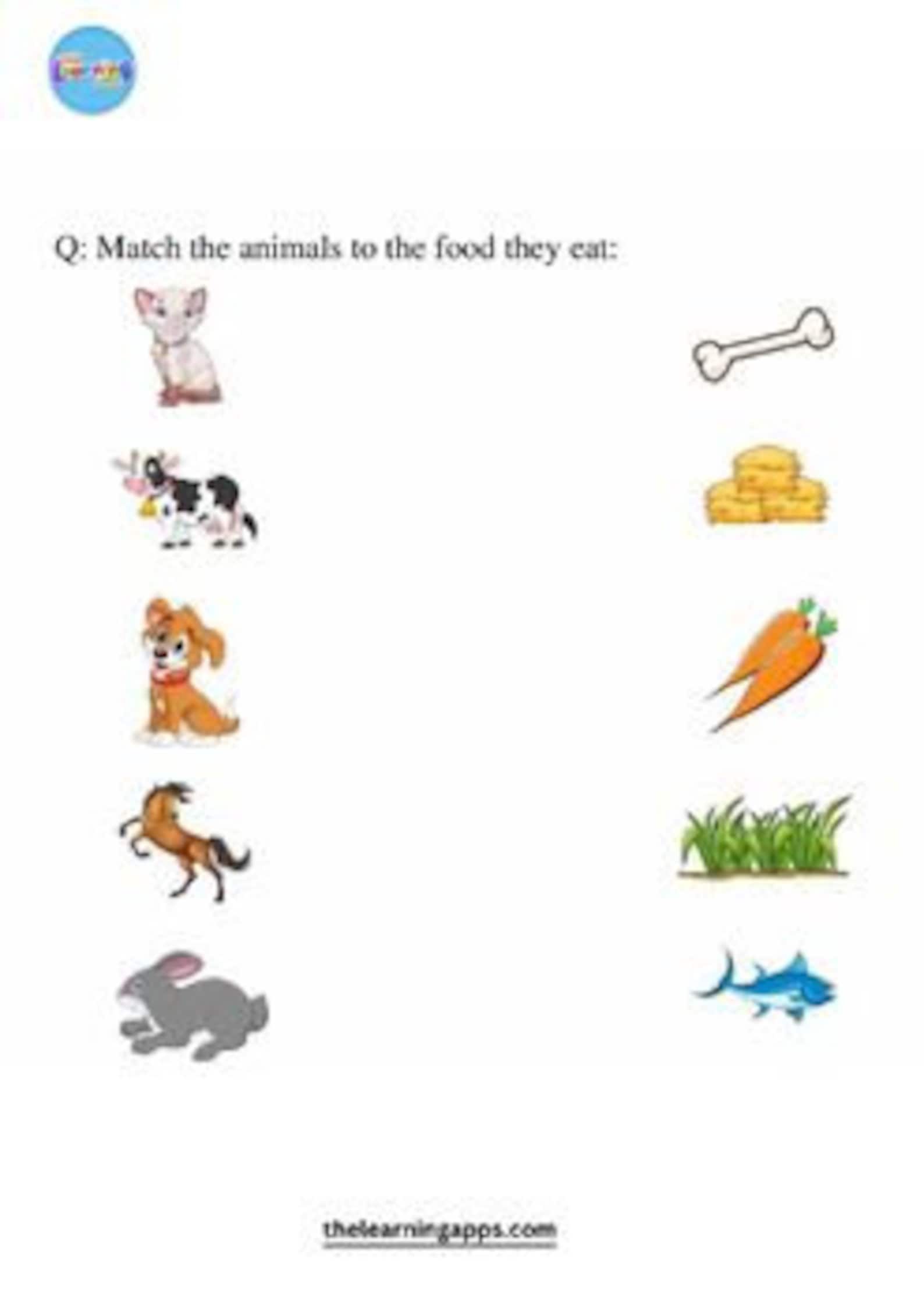 What Do Animals Eat Printable Worksheets for Class 1 Animal Matching ...