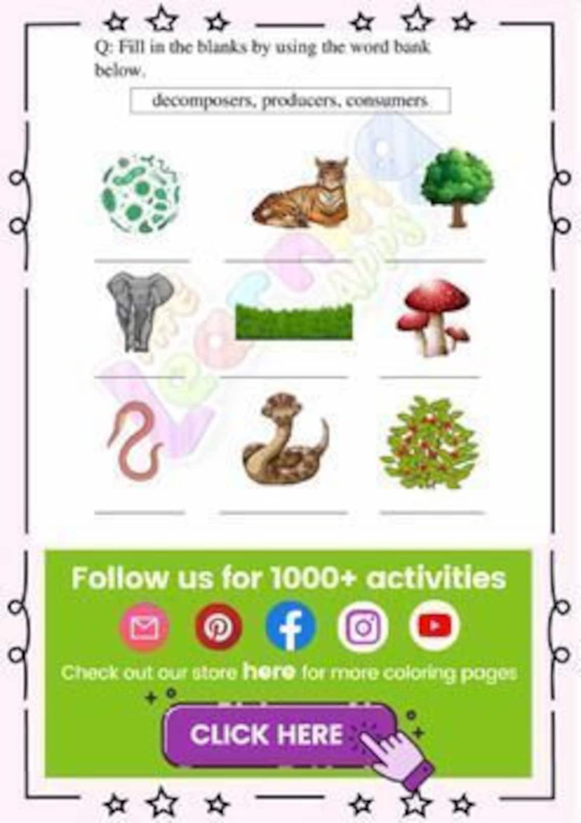 Food Chain Printable Worksheets for Grade 1,2,3 Science Printable for ...