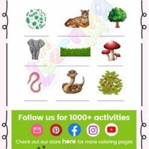 Food Chain Printable Worksheets for Grade 1,2,3 Science Printable for ...