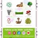 Food Chain Printable Worksheets for Grade 1,2,3 Science Printable for ...