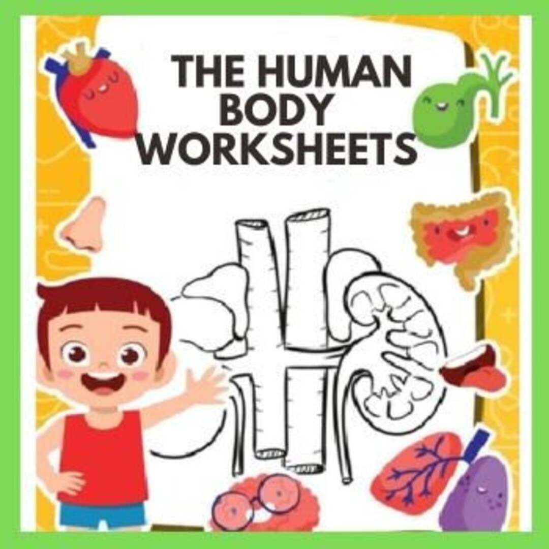 The Human Body Printable Worksheets for Primary Kids/children/students ...