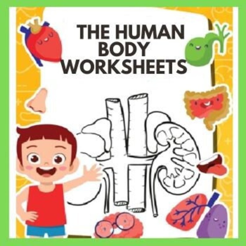 The Human Body Printable Worksheets for Primary Kids/children/students ...