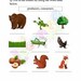 Food Chain Printable Worksheets for Grade 1,2,3 Science Printable for ...