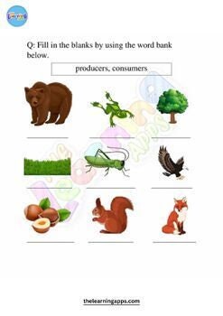 Food Chain Printable Worksheets for Grade 1,2,3 Science Printable for ...