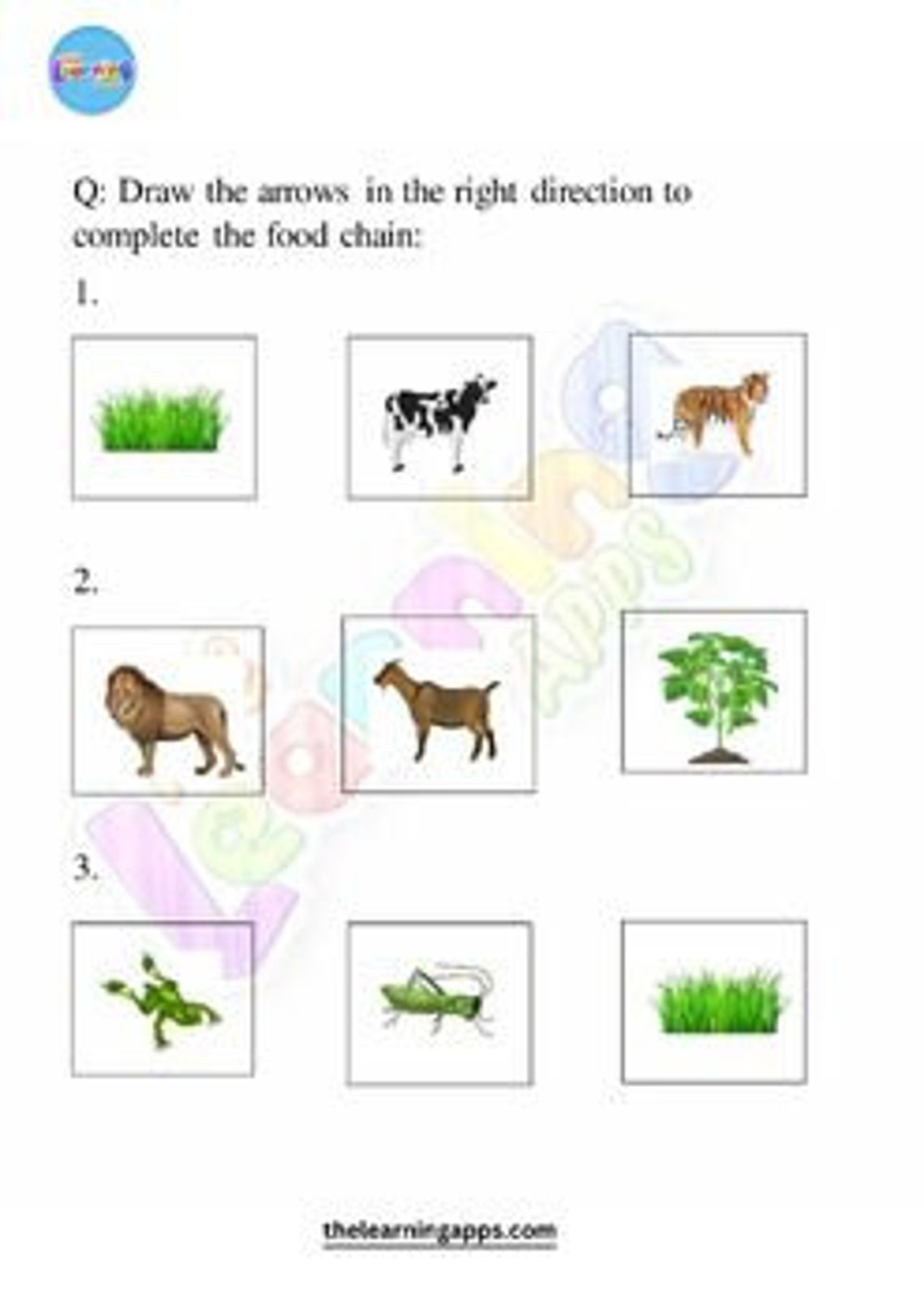 Animal Food Chain Habitat Printable Worksheets for Kids Food Chain ...