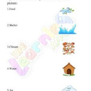 Basic Needs of Animals Printable Worksheets Match the Correct Items ...